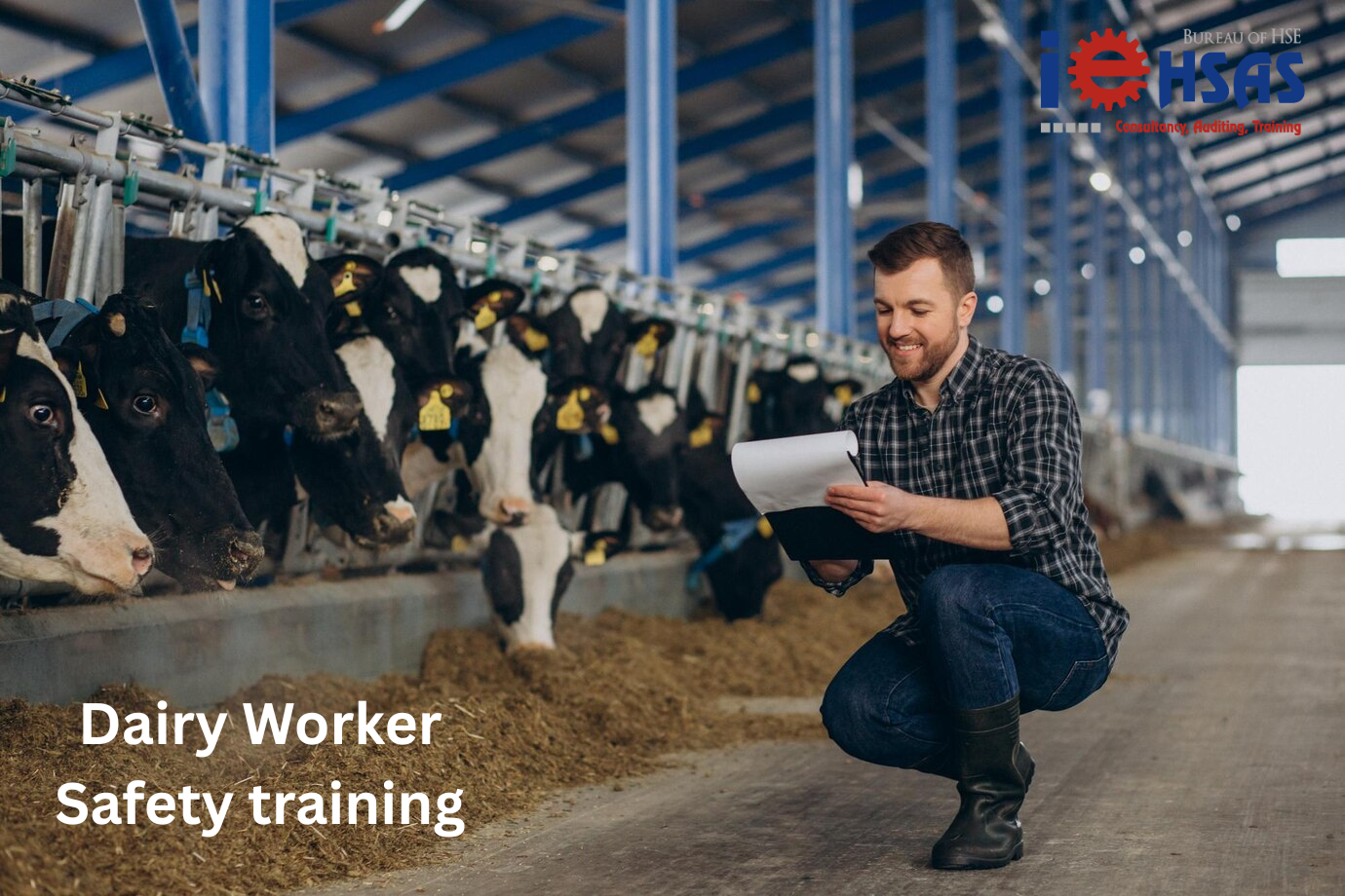 Dairy Worker Safety Training Program | IEHSAS