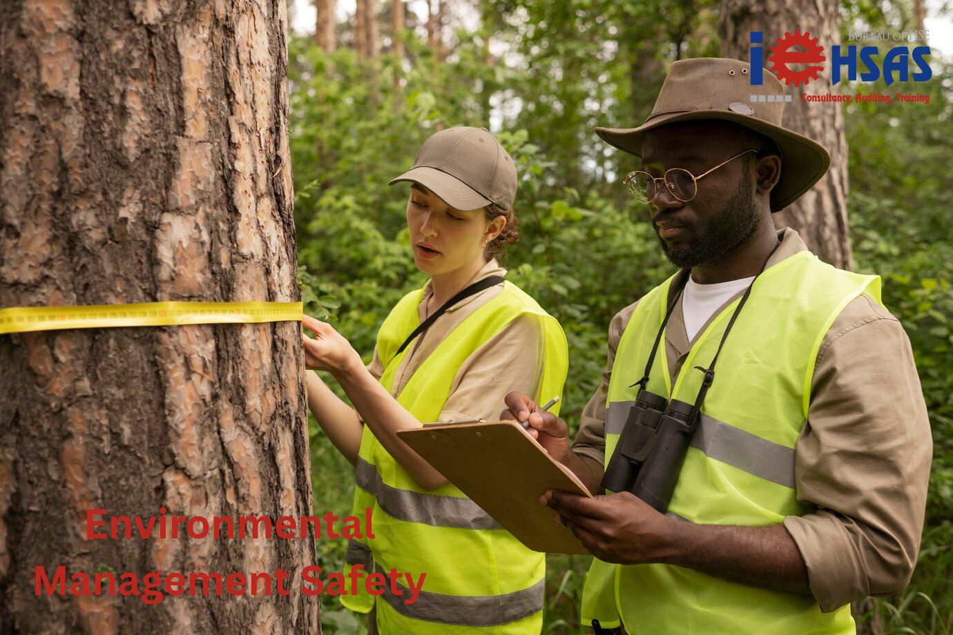 Environmental Management Safety Training | IEHSAS