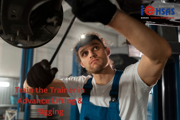 Train the Trainer Course | | IEHSAS